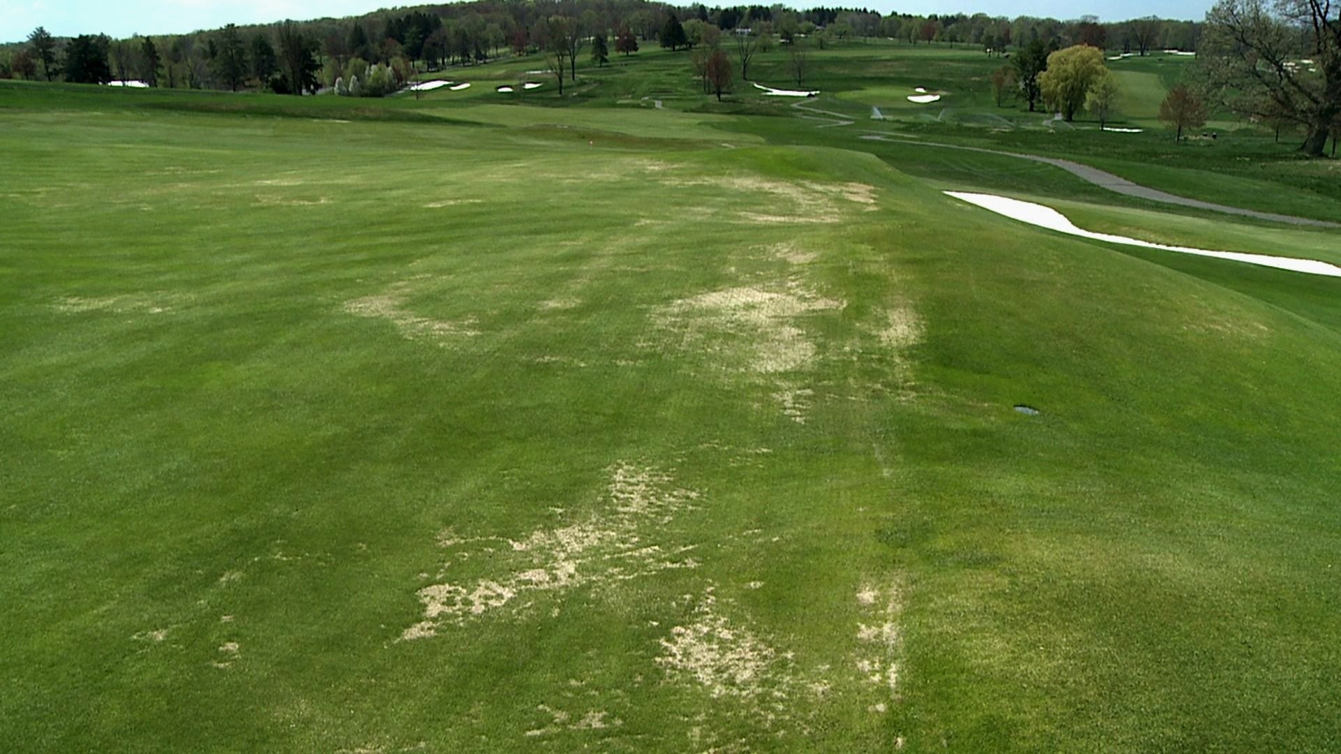 Country Club Greens Still Recovering | wnep.com
