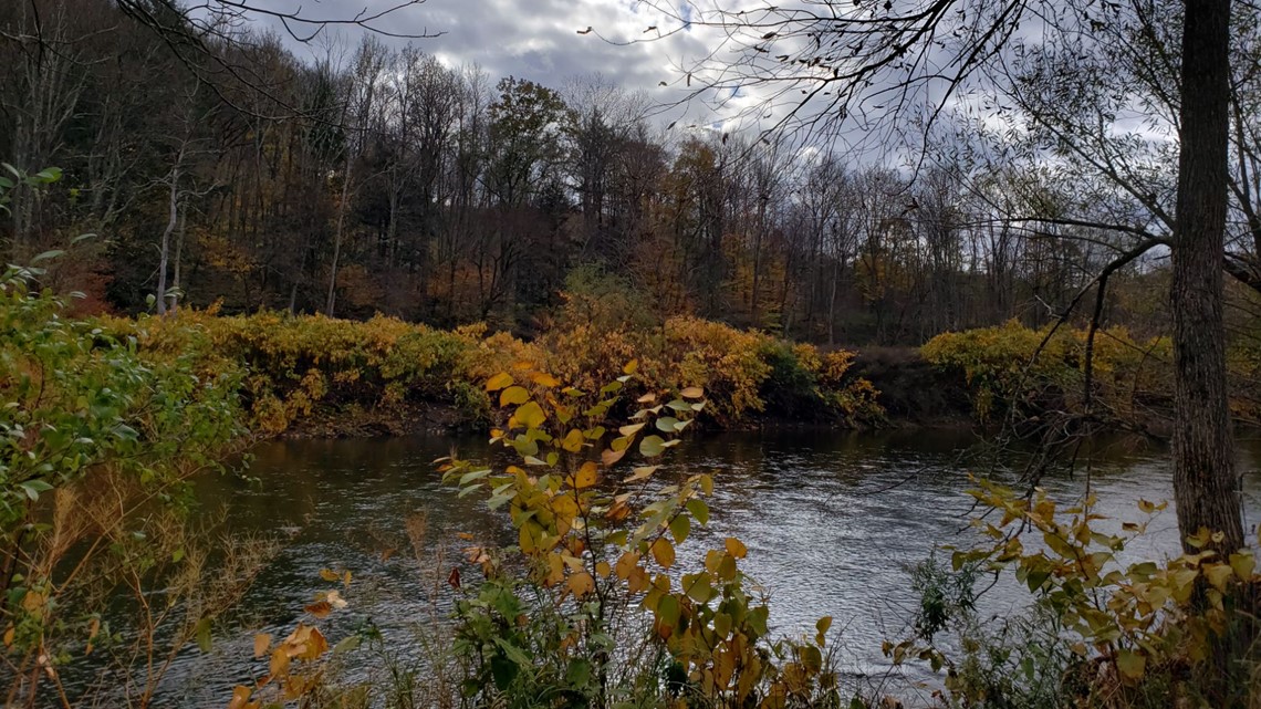 PhotoLink Library: Moment by moment | wnep.com
