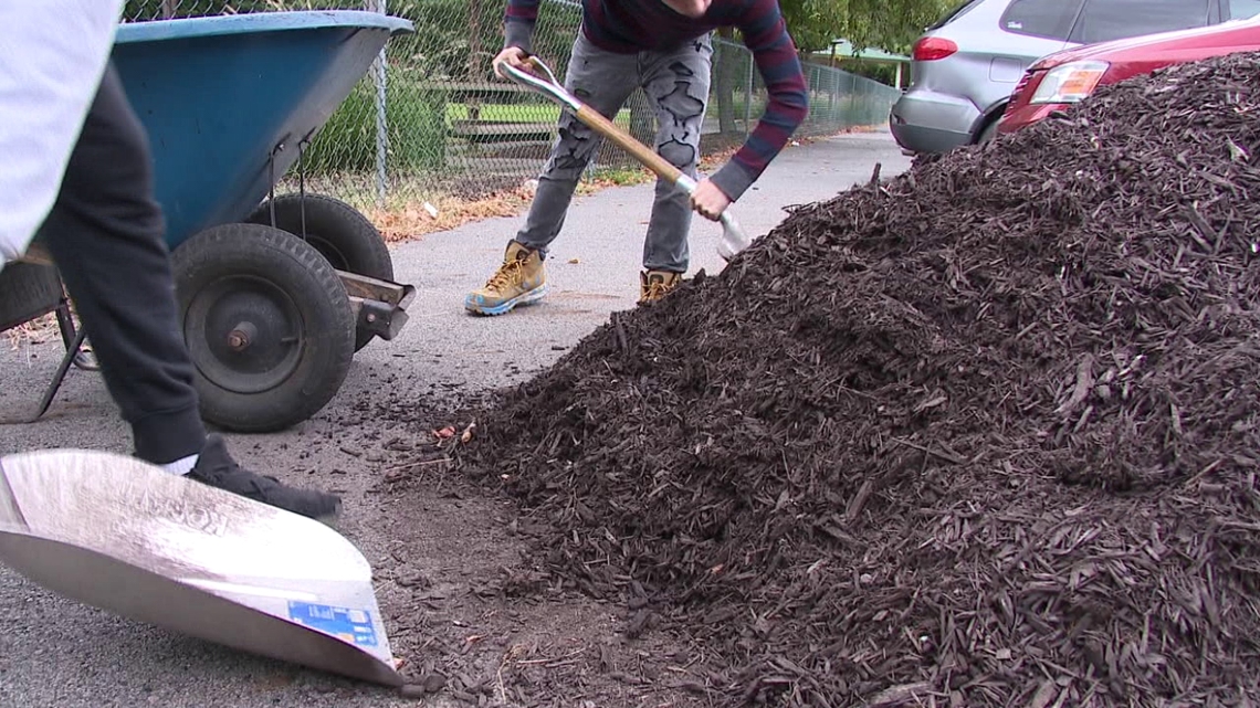 Kids in Juvenile Probation helps clean up Wilkes-Barre | wnep.com