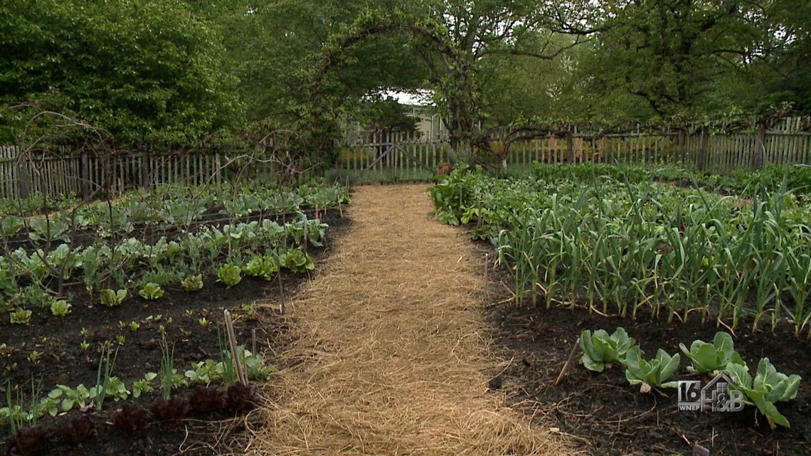 Get Garden Inspired! Planting Ideas For Your Vegetable Garden | wnep.com