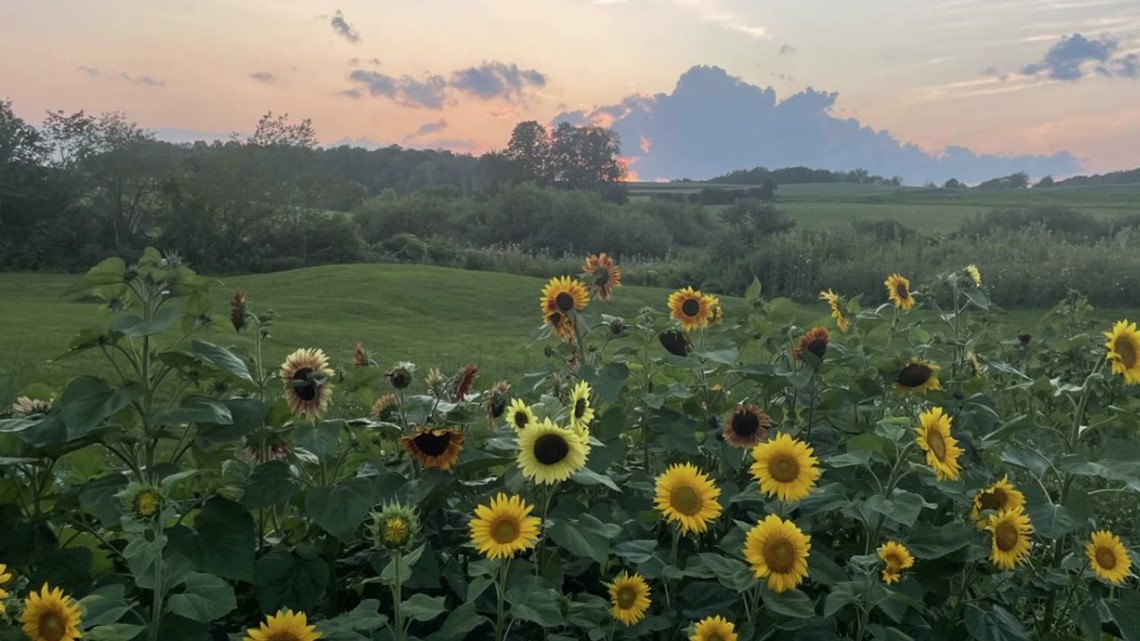 PhotoLink Library: Best days of summer with Mike Stevens | wnep.com