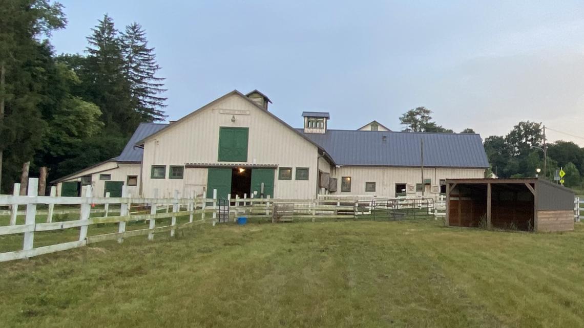 A behind-the-scenes look at The Lands at Hillside Farm | wnep.com