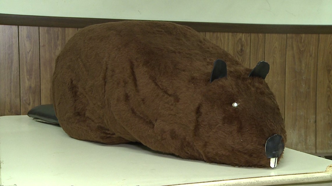Getting Ready for the Beaver Drop! | wnep.com