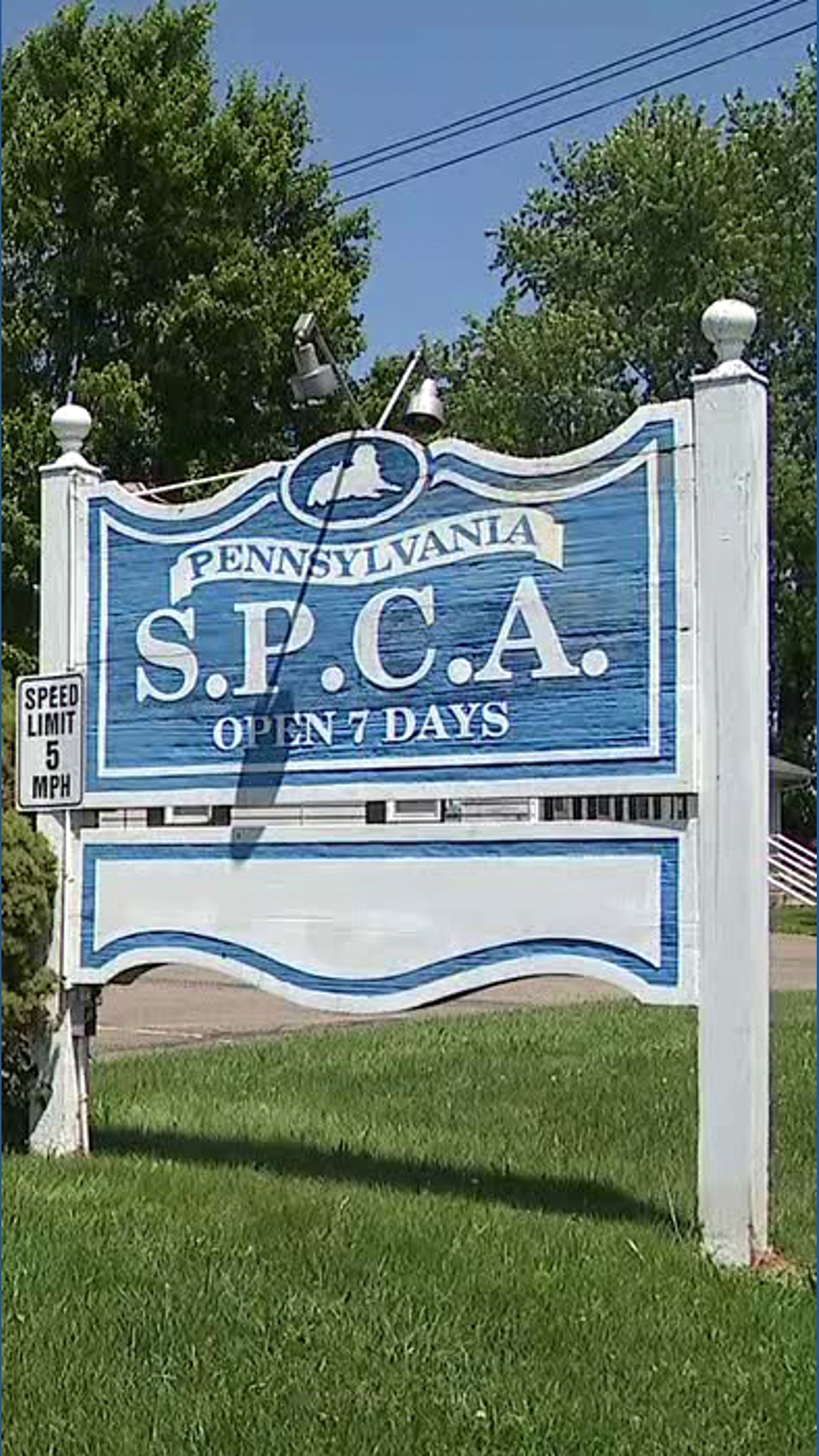 SPCA Danville cares for animals during heat wave | wnep.com