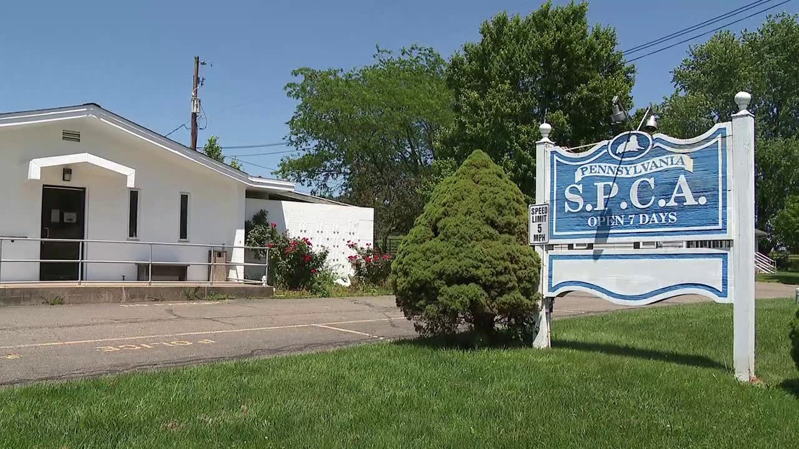 SPCA Danville cares for animals during heat wave | wnep.com