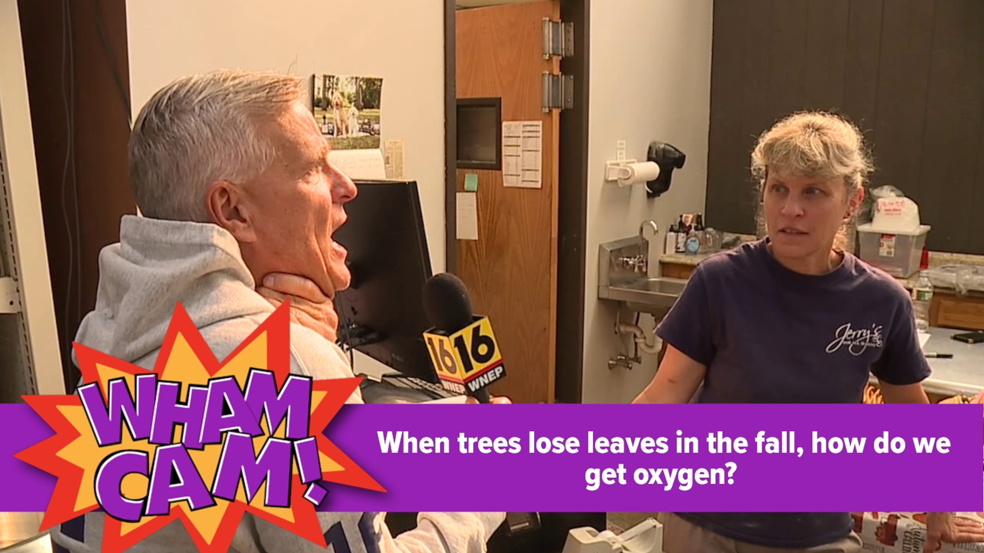 When trees lose leaves in the fall, how do we get oxygen? | WHAM CAM ...