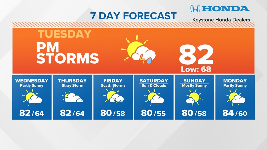 Watch | 16WNEP Live and On-Demand Videos | Wilkes-Barre, Pennsylvania ...