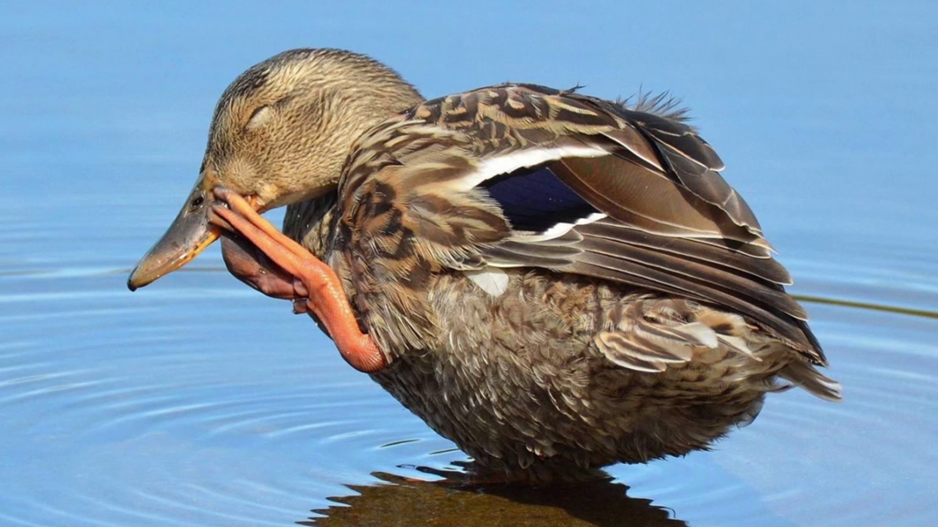 Seasons come and go | PhotoLink Library | wnep.com