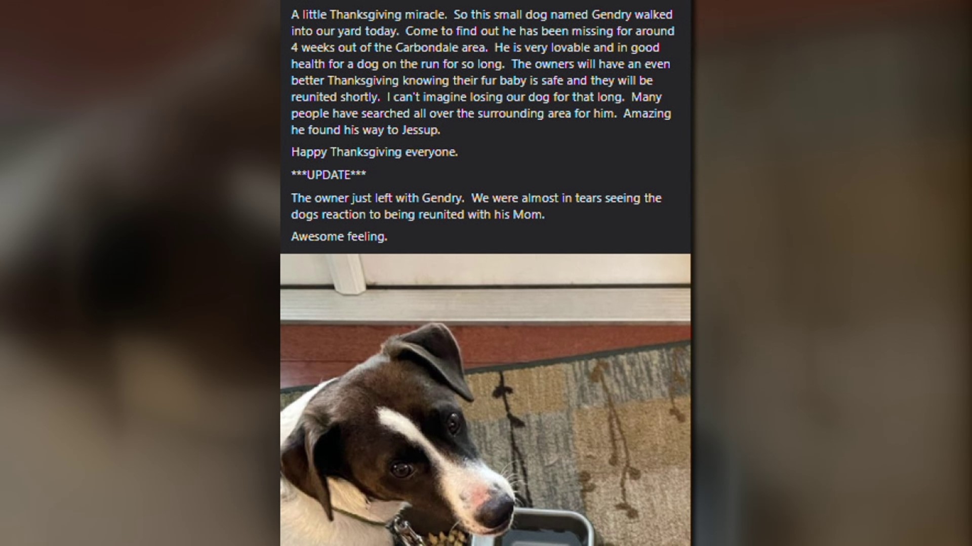 A holiday homecoming: Dog reunited with owner | wnep.com