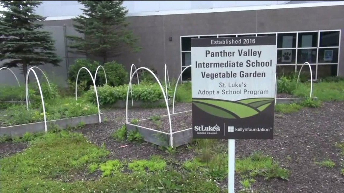 Panther Valley Student Garden in Full Bloom | wnep.com
