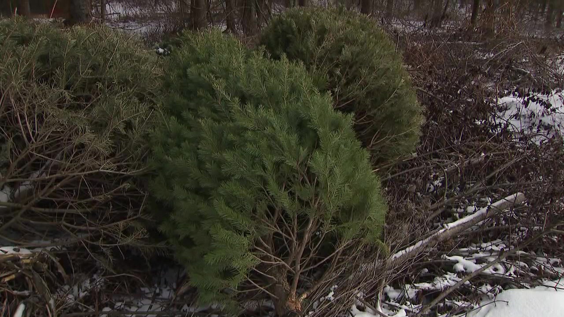 Boil advisory issued for Weatherly after water main break | wnep.com