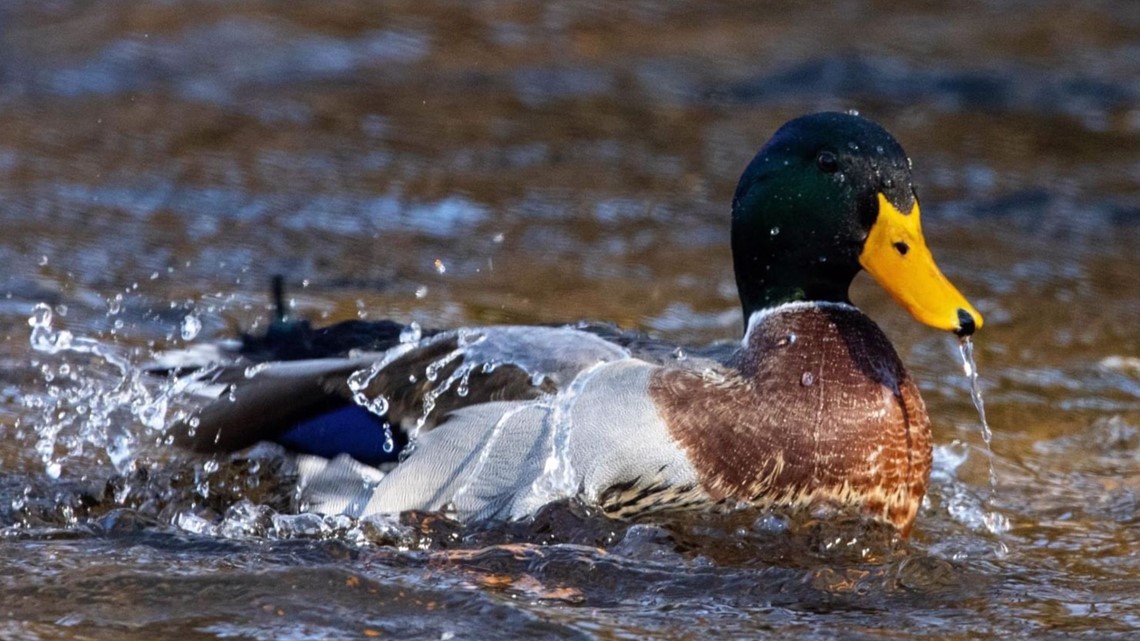 PhotoLink | WNEP.com | wnep.com