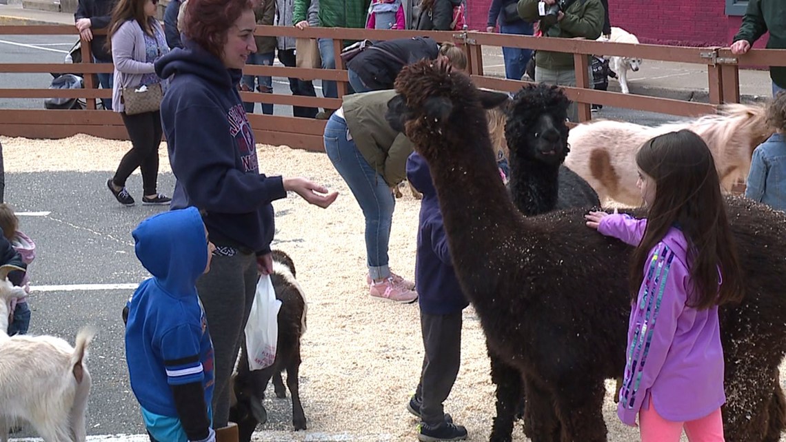 Lewisburg Arts Festival Underway | wnep.com
