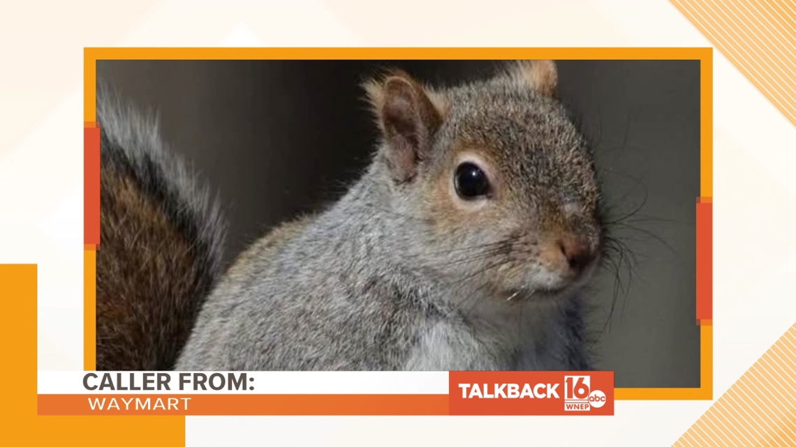 Classroom call for Professor Joe | Talkback 16 | wnep.com