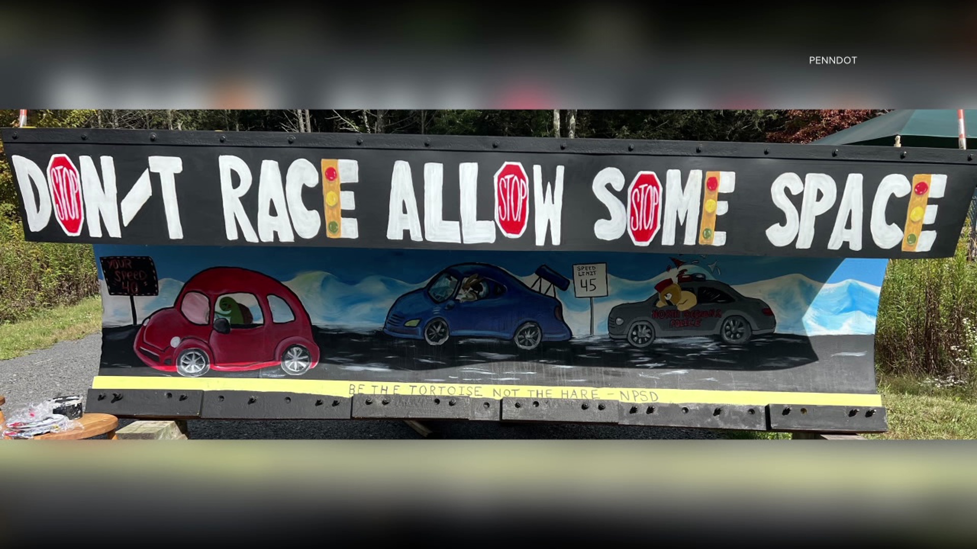 Paraplegic engineer becomes the first wheelchair user to blast off for ...