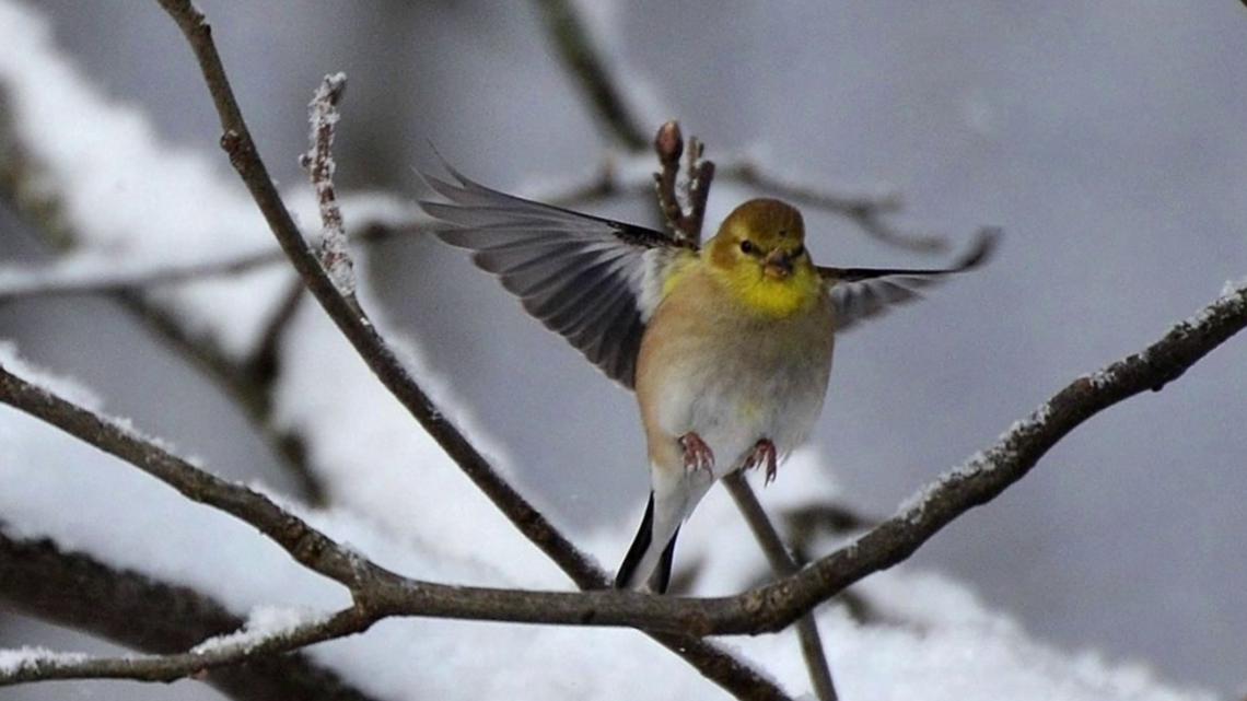 Catching your breath in the PhotoLink Library | wnep.com