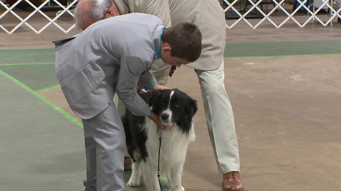 Bloomsburg Fairgrounds hosting Mountain Laurel Dog Show | wnep.com