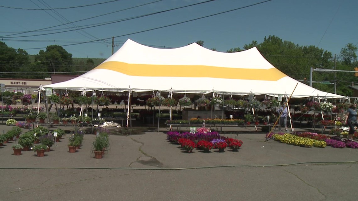 Flower tents making comeback after COVID-19 crisis | wnep.com