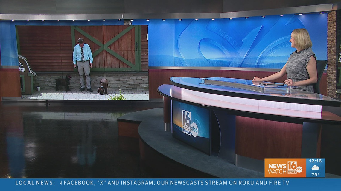 WNEP.com | News, Weather & Sports from WNEP-TV — Proud to Serve ...