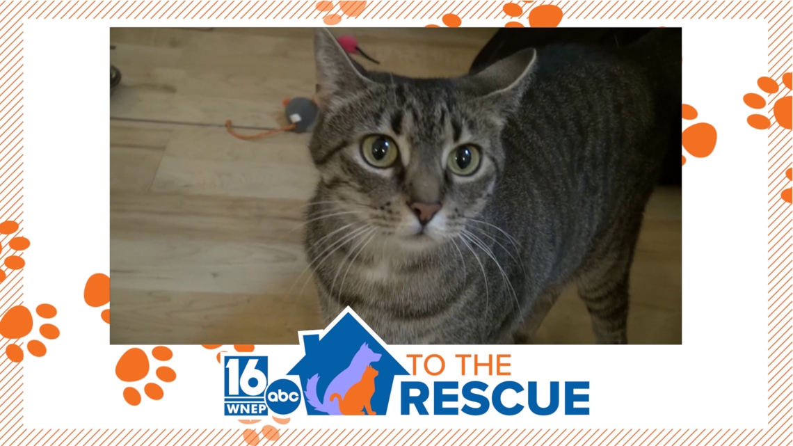 16 To The Rescue: Blossom | wnep.com