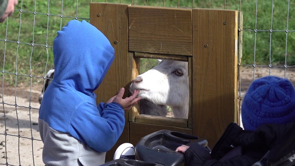 Fall Fest at Roba Family Farms | wnep.com
