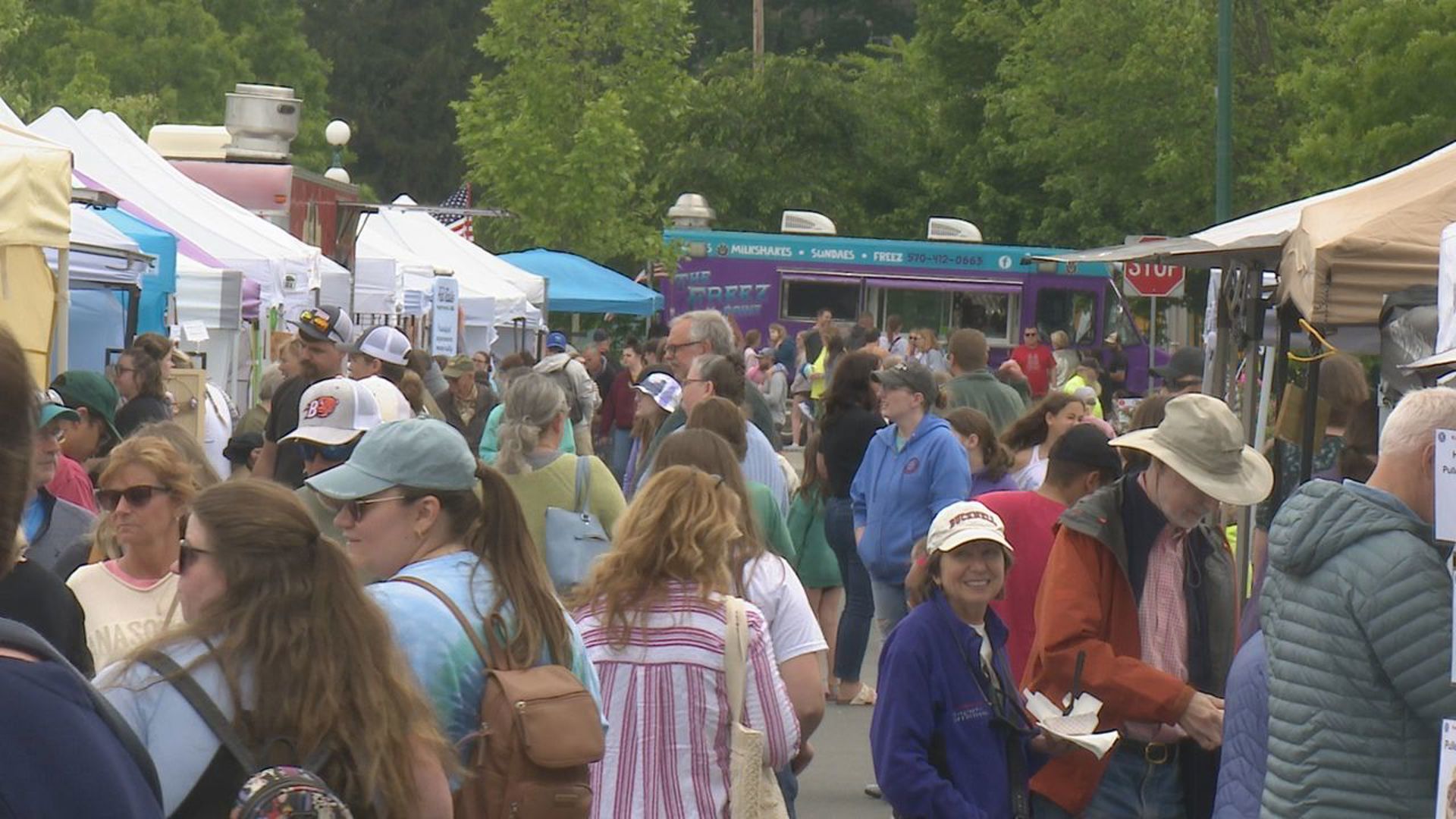 Craft fair draws in hundreds in Lewisburg | wnep.com
