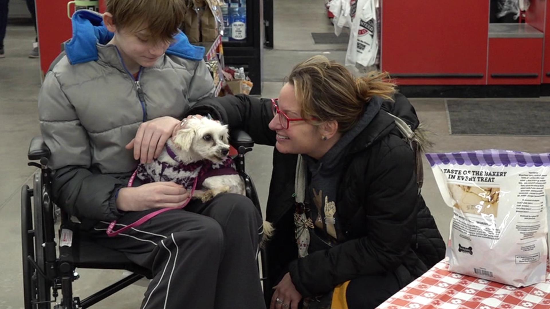 'Adopt Don't Shop' event in Luzerne Co. | wnep.com