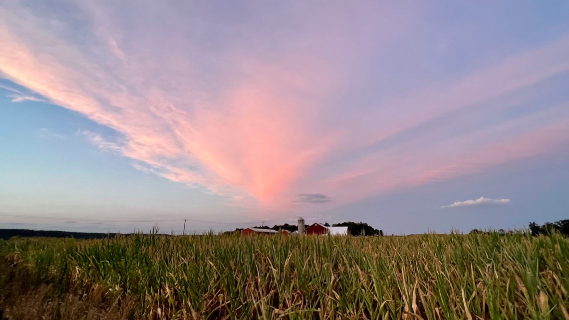 PhotoLink Library – Savoring summer | wnep.com