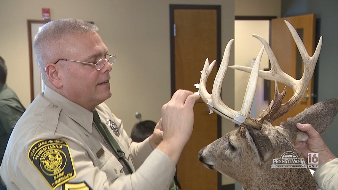 Big Game Scoring at the Pennsylvania Game Commission | wnep.com