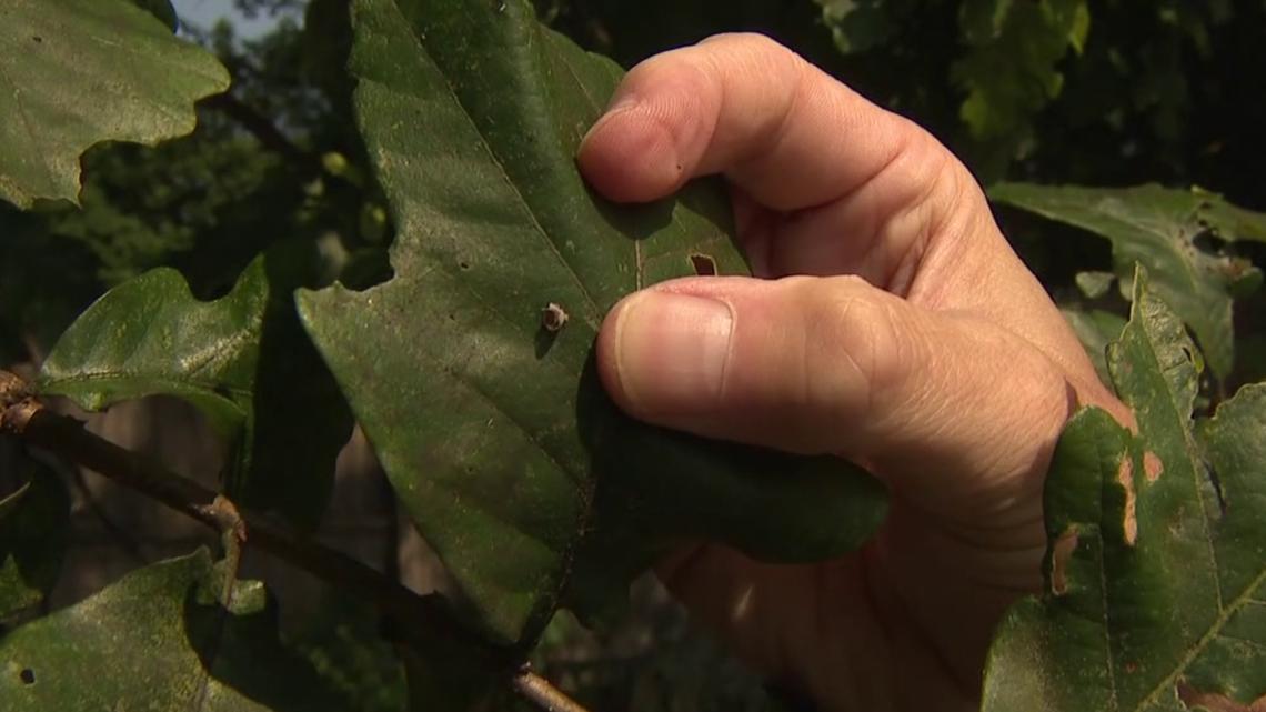 WNEP.com | News, Weather & Sports from WNEP-TV — Proud to Serve ...