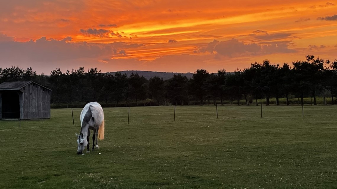 Sunny sights in the PhotoLink Library | wnep.com