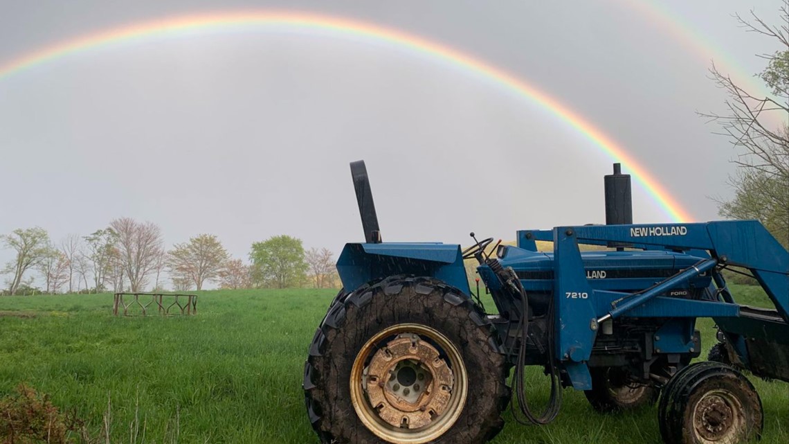 PhotoLink Library: Getting easier; a look at spring photos | wnep.com