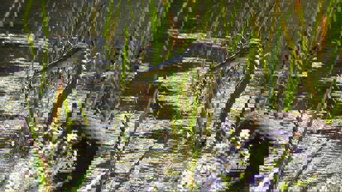 R. B. Winter State Park | wnep.com