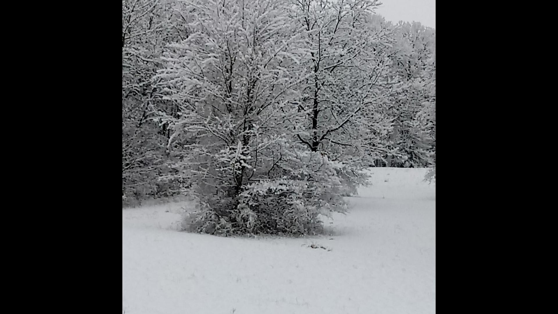 January winter storm arrives, as shown by you | wnep.com