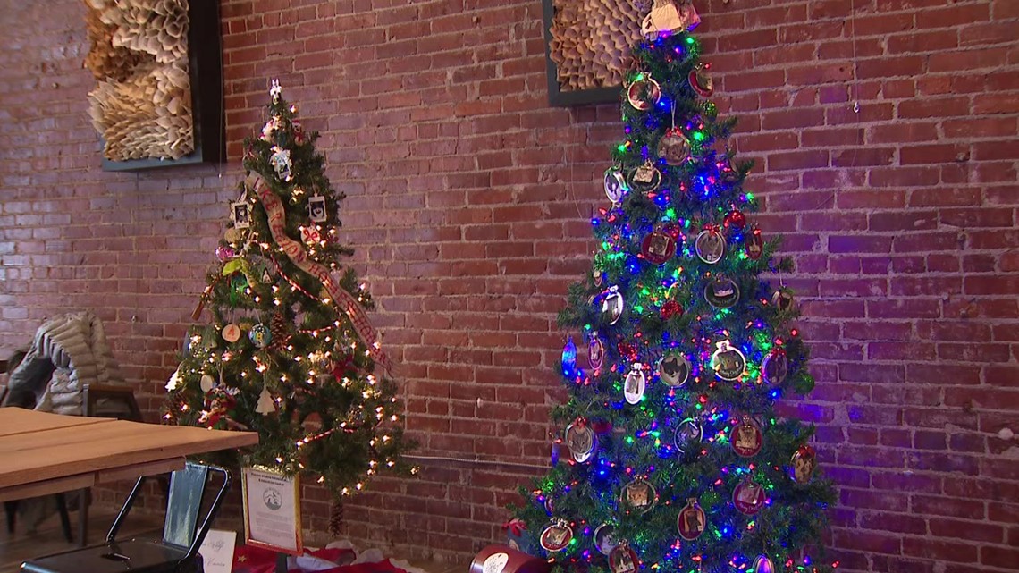 Hawley Hub Trees for a Cause | wnep.com