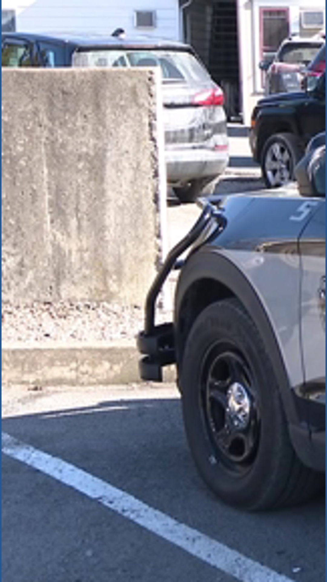 Sunbury Police Department looking to bring K9s back to the force | wnep.com