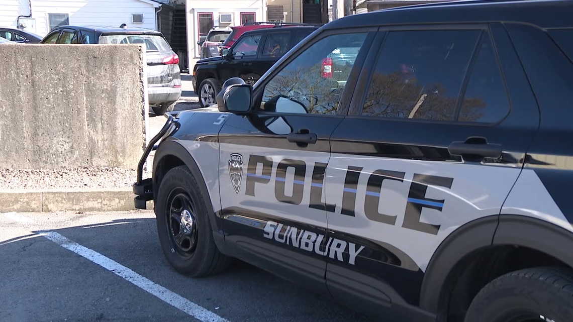 Sunbury Police Department looking to bring K9s back to the force | wnep.com