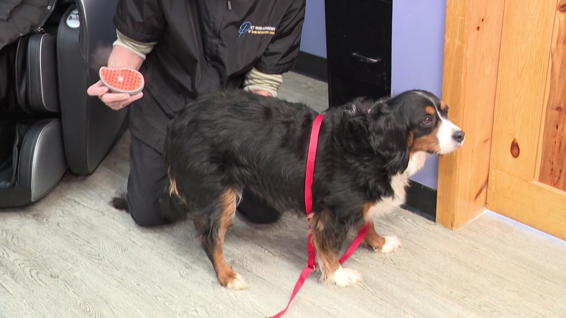 Mister Groom | Does It Really Work? | wnep.com