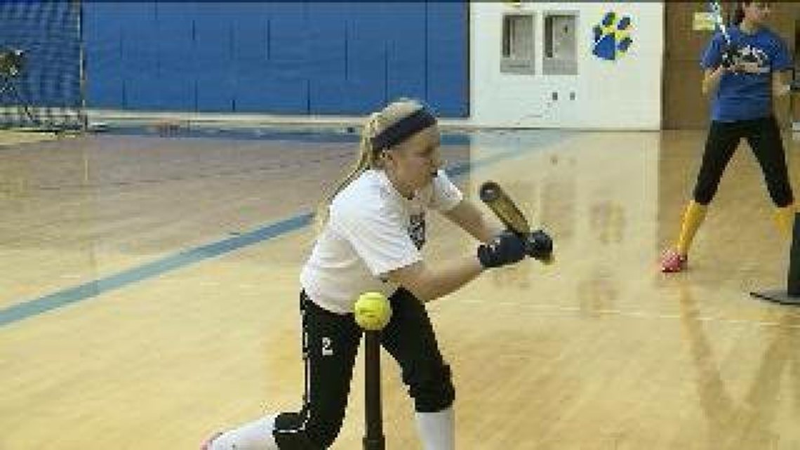Valley View Softball 2014 The Next Chapter | wnep.com