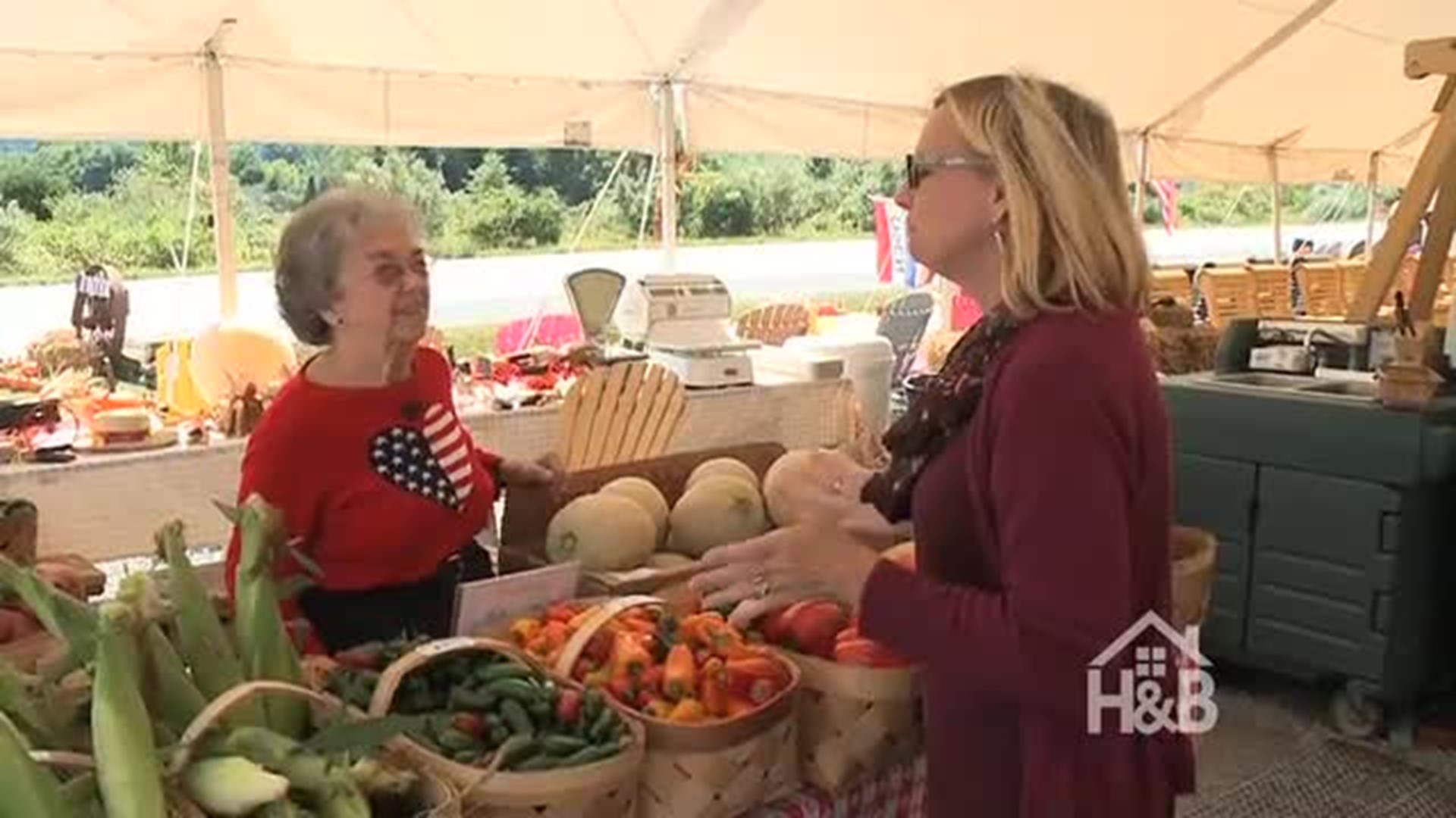 The Point Barn | wnep.com