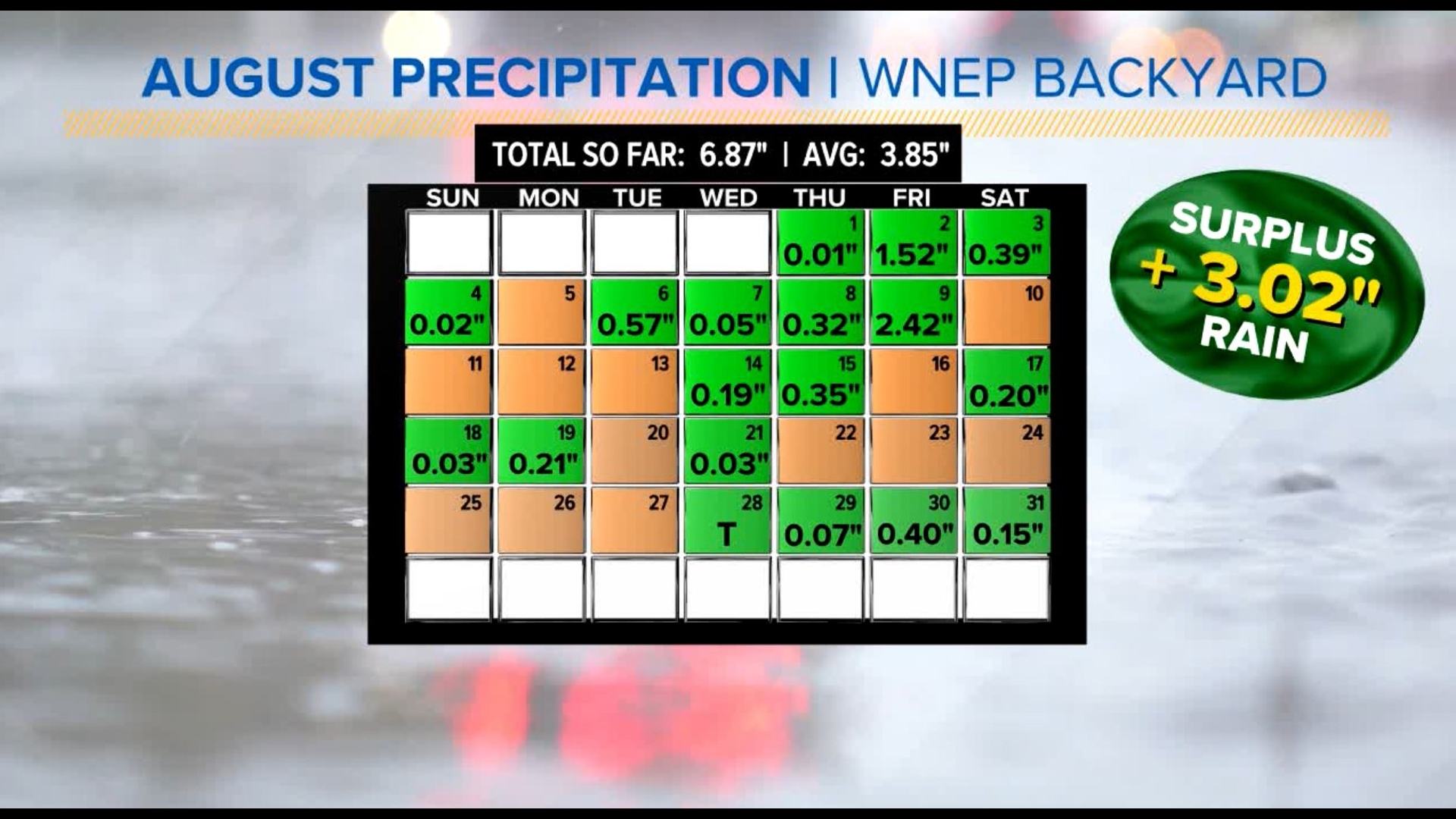 Yellow leaves in August: A sign of an early fall? | Jeremy's Journeys ...