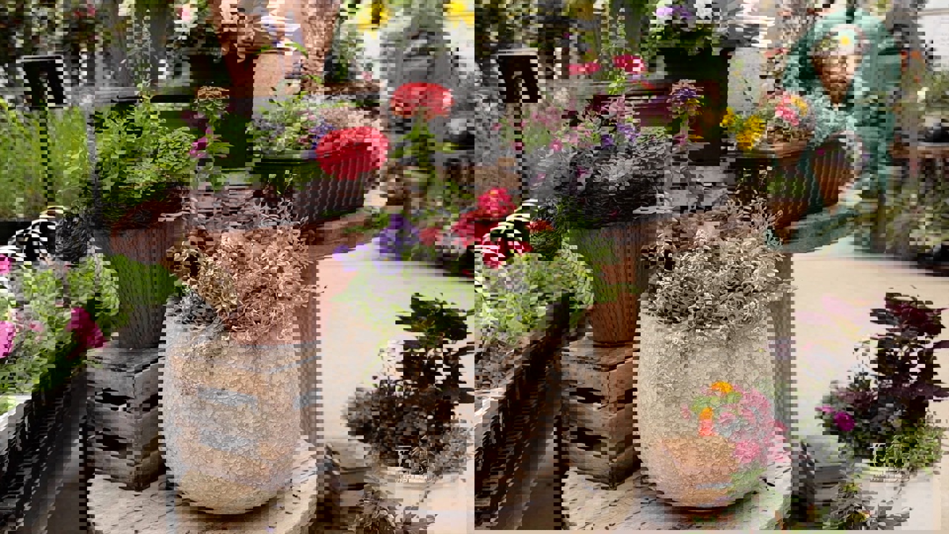 Create An Edible Flower Garden In a Table Top Planter | wnep.com