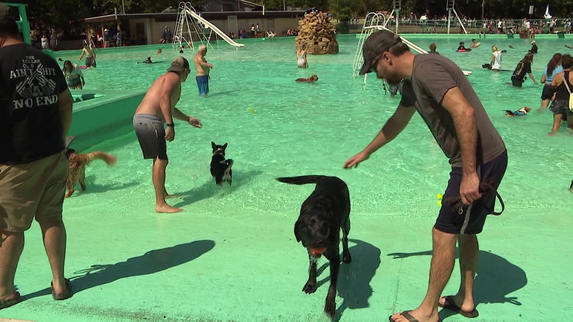 Knoebels hosts doggie dive | wnep.com