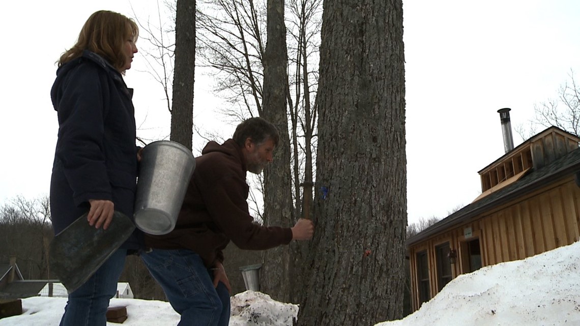 Sap Flowing, Maple Syrup Season Finally Here | wnep.com
