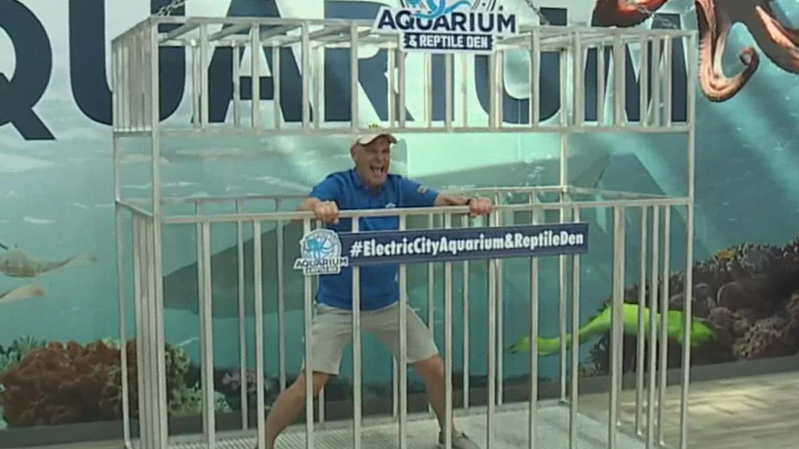 Where is the largest body of liquid water in the solar system? | wnep.com