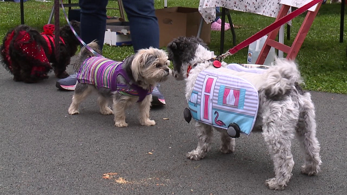 6th Annual Pet Parade and Costume Contest | wnep.com
