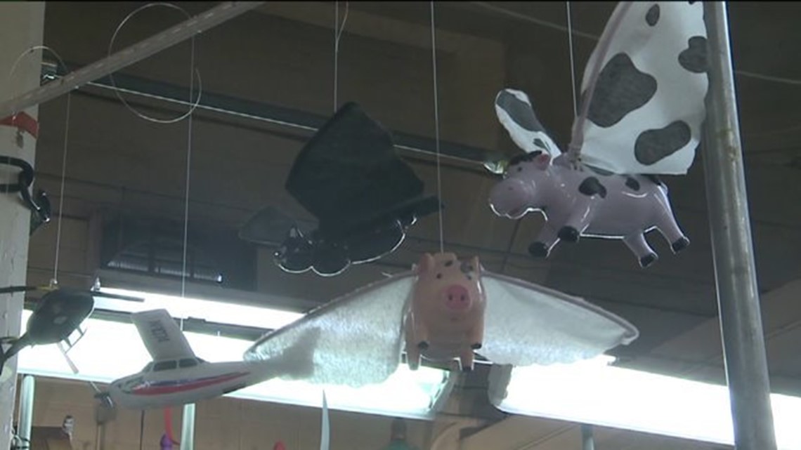 Does It Really Work? When Pigs Fly | wnep.com
