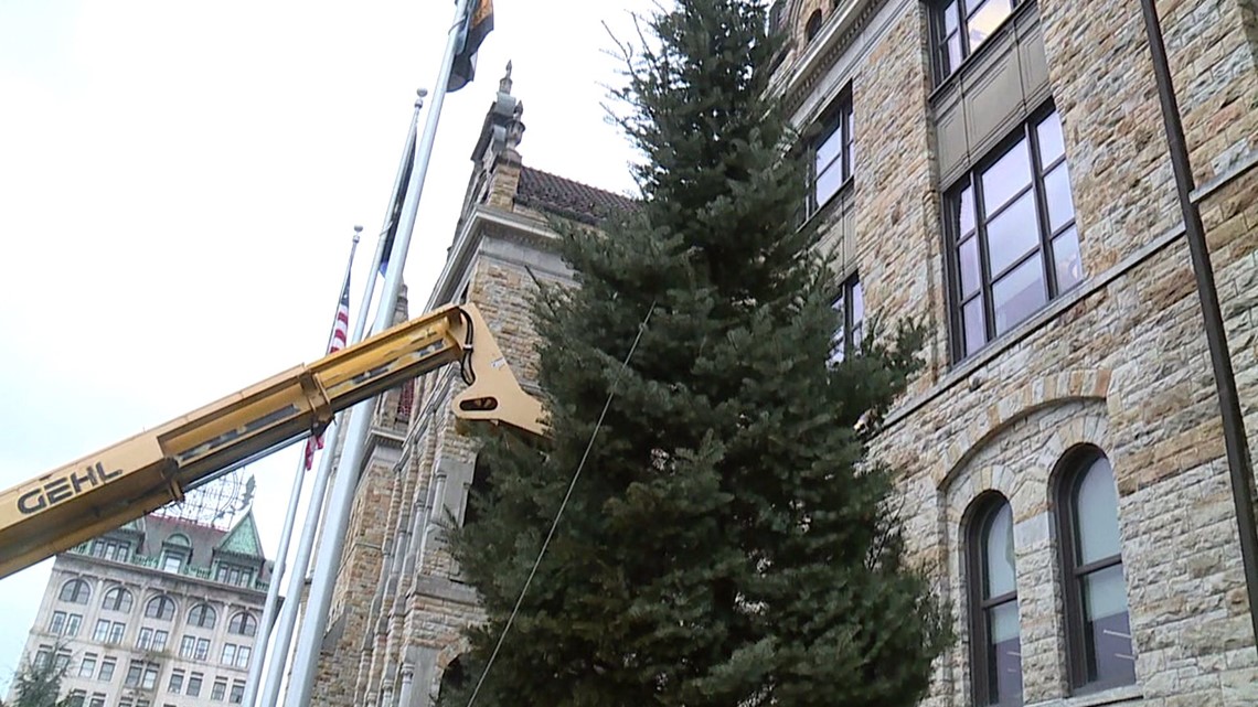 Christmas Tree Arrives at Courthouse Square in Scranton | wnep.com