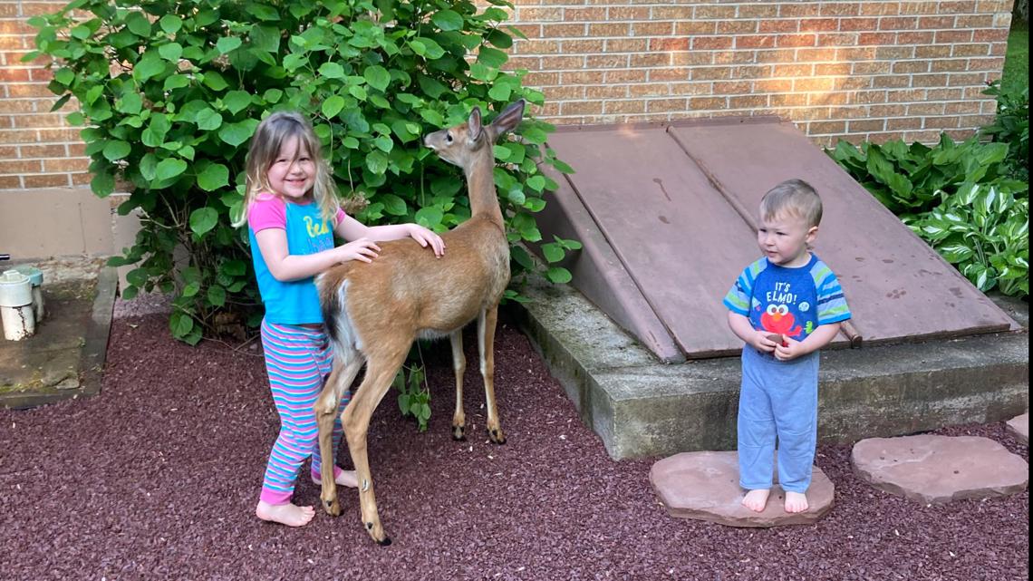 VIDEO: Friendly deer gets up close and personal with a pair of ...