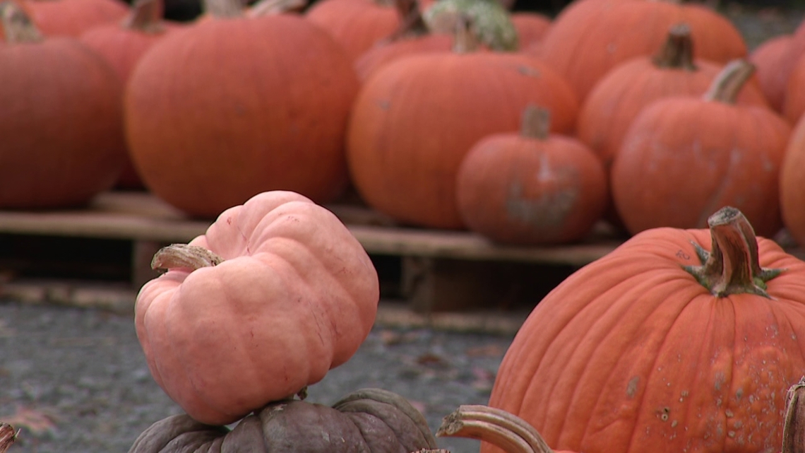 Paris Olympics handover to Los Angeles: Who are the performers? | fox43.com